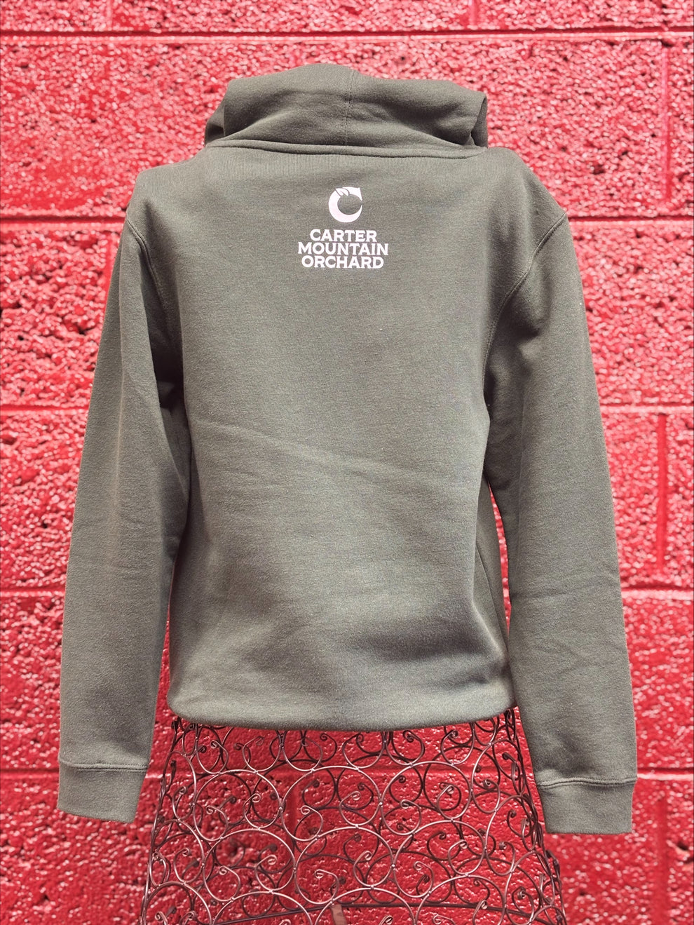 Youth Carter Mountain Orchard Retro Apple Hoodie – Chiles Family ...