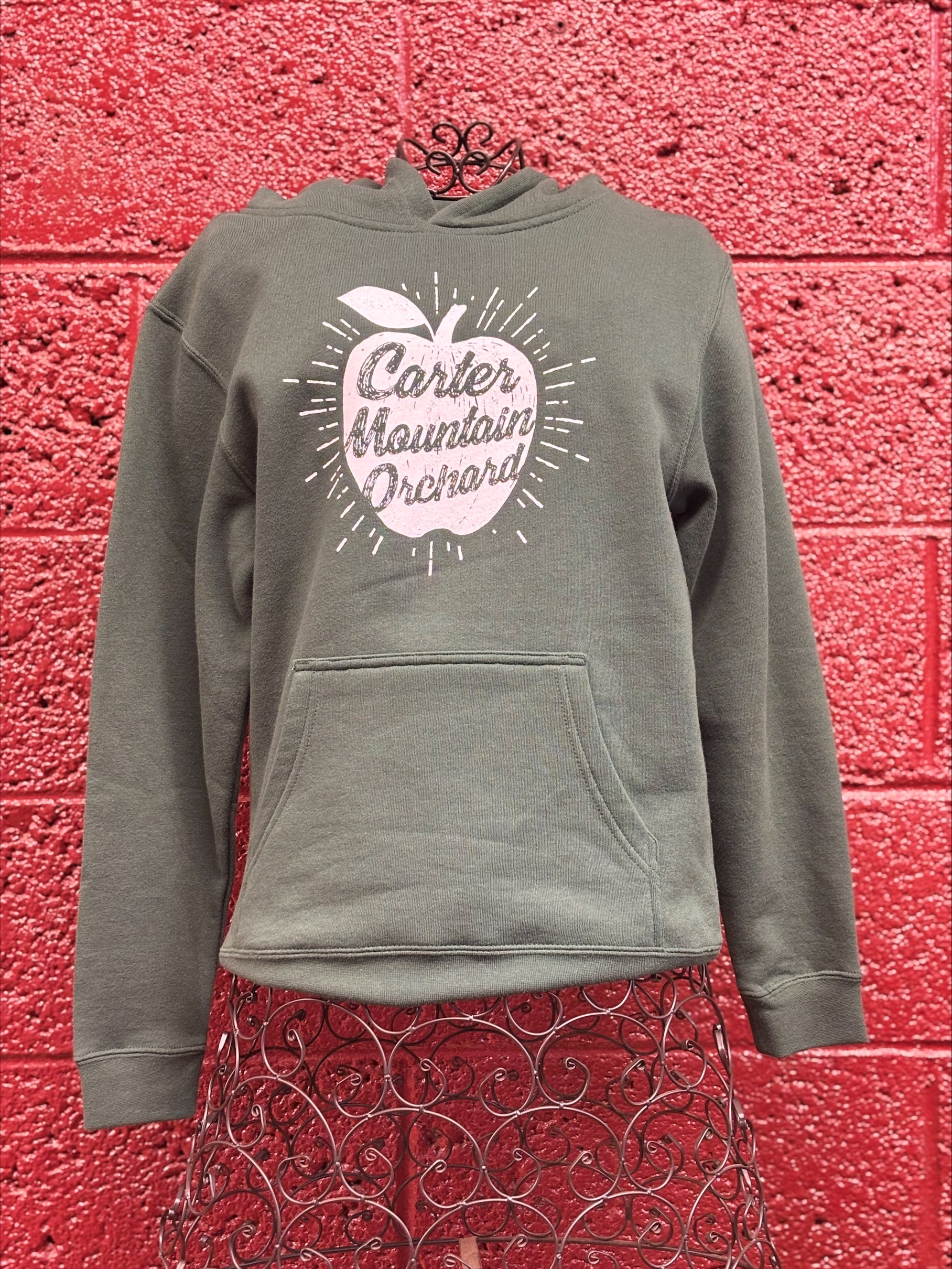 Youth Carter Mountain Orchard Retro Apple Hoodie – Chiles Family ...